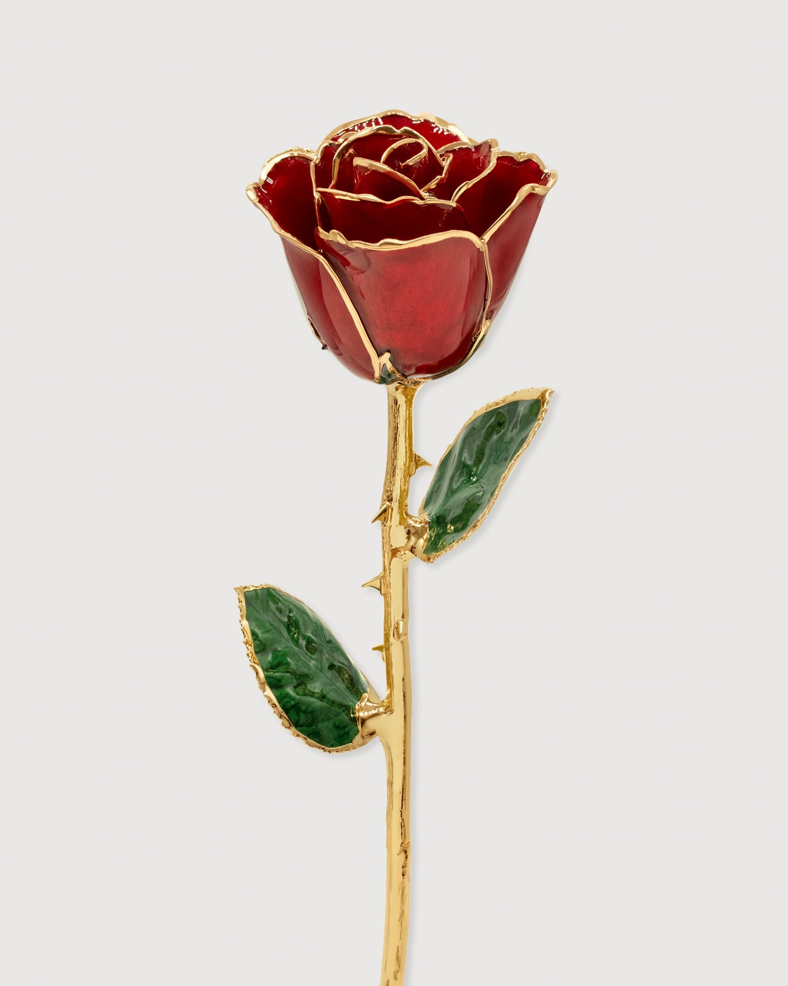 24K Gold Plated Roses – Selene & Amor